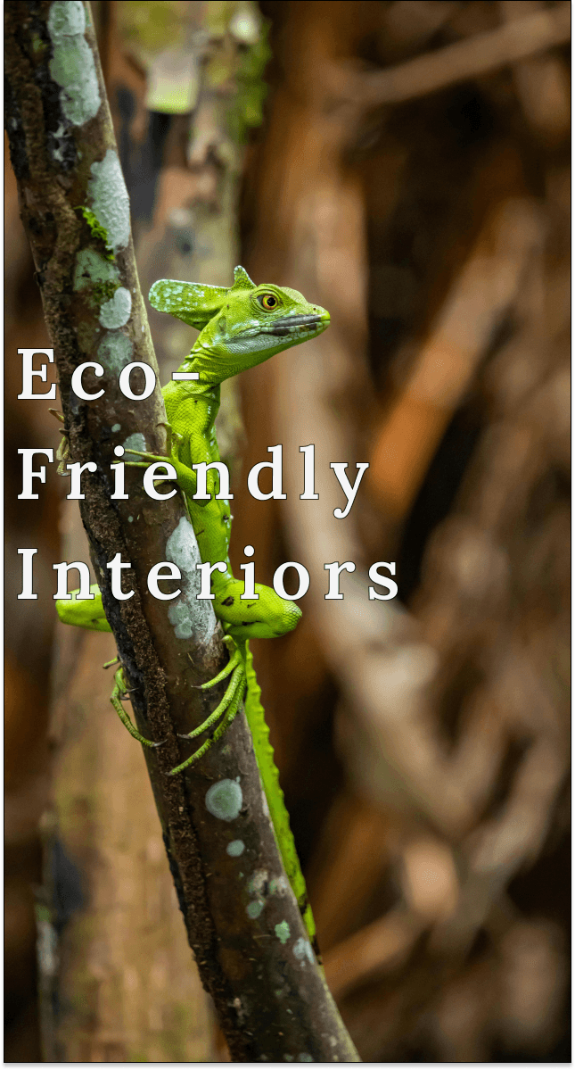 A Simple Guide to Eco-Friendly Interior Design - Spaces by Dee